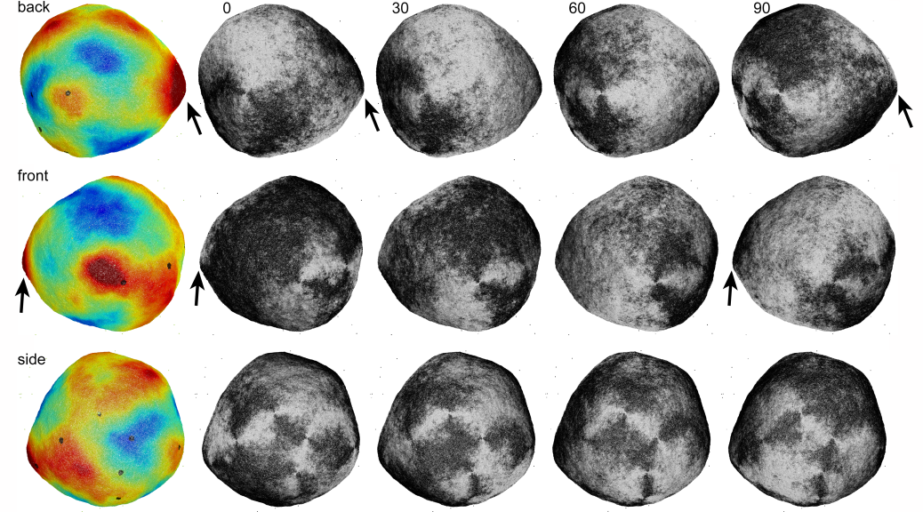 Topological defects and interfacial curvature | The Hirst Lab